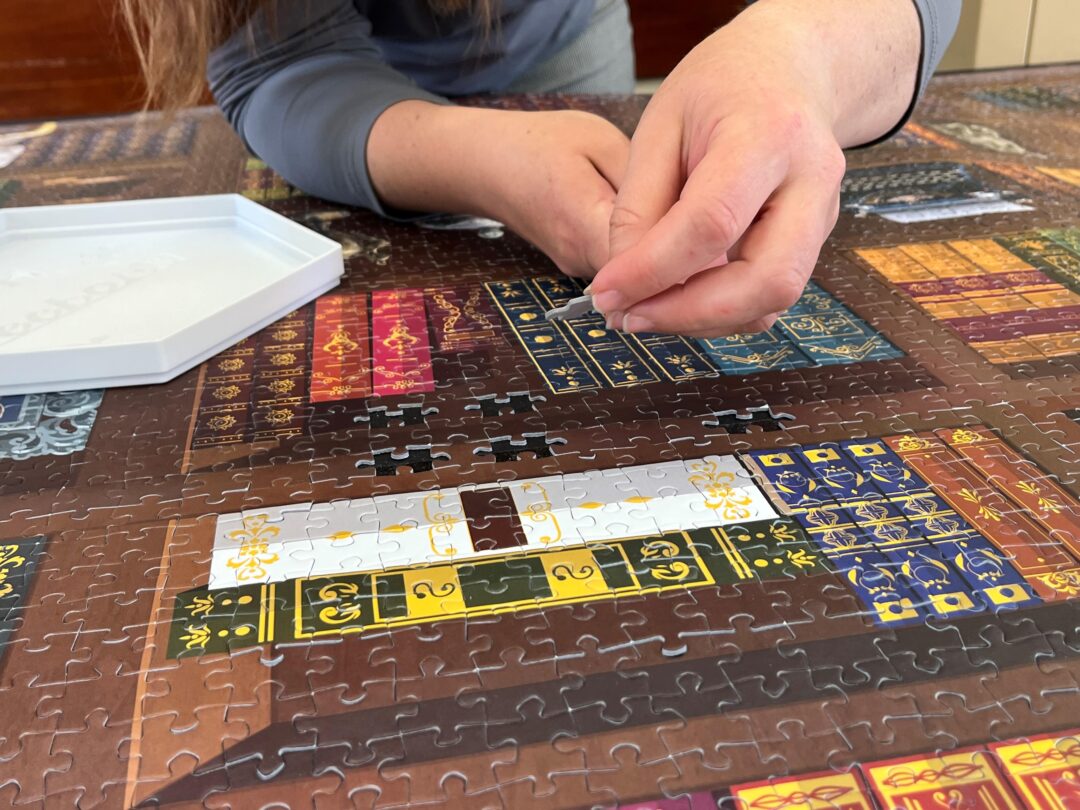 Le plus grand puzzle du monde à Saint-Aspais est terminé ...